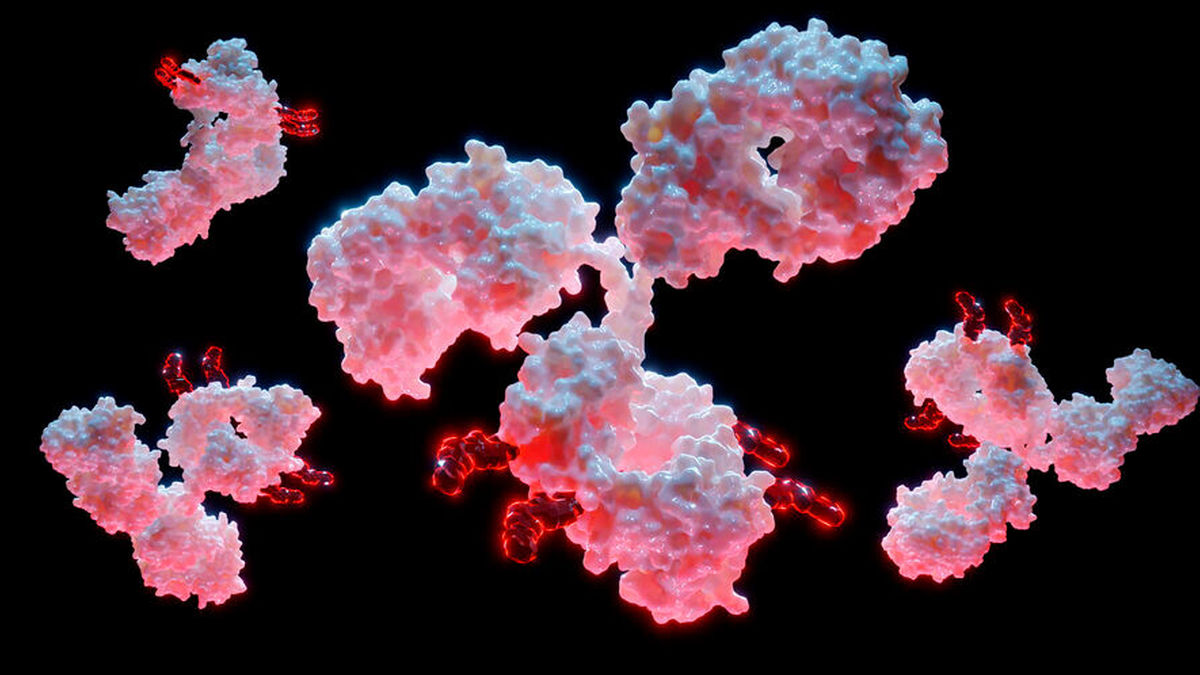 Antikörper-Wirkstoff-Konjugate bei Mammakarzinom und NSCLC