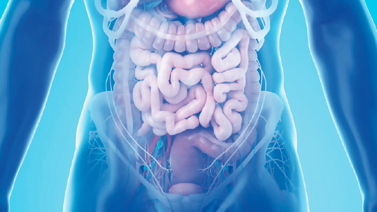 Die Rolle des Mikrobioms beim Kolonkarzinom
